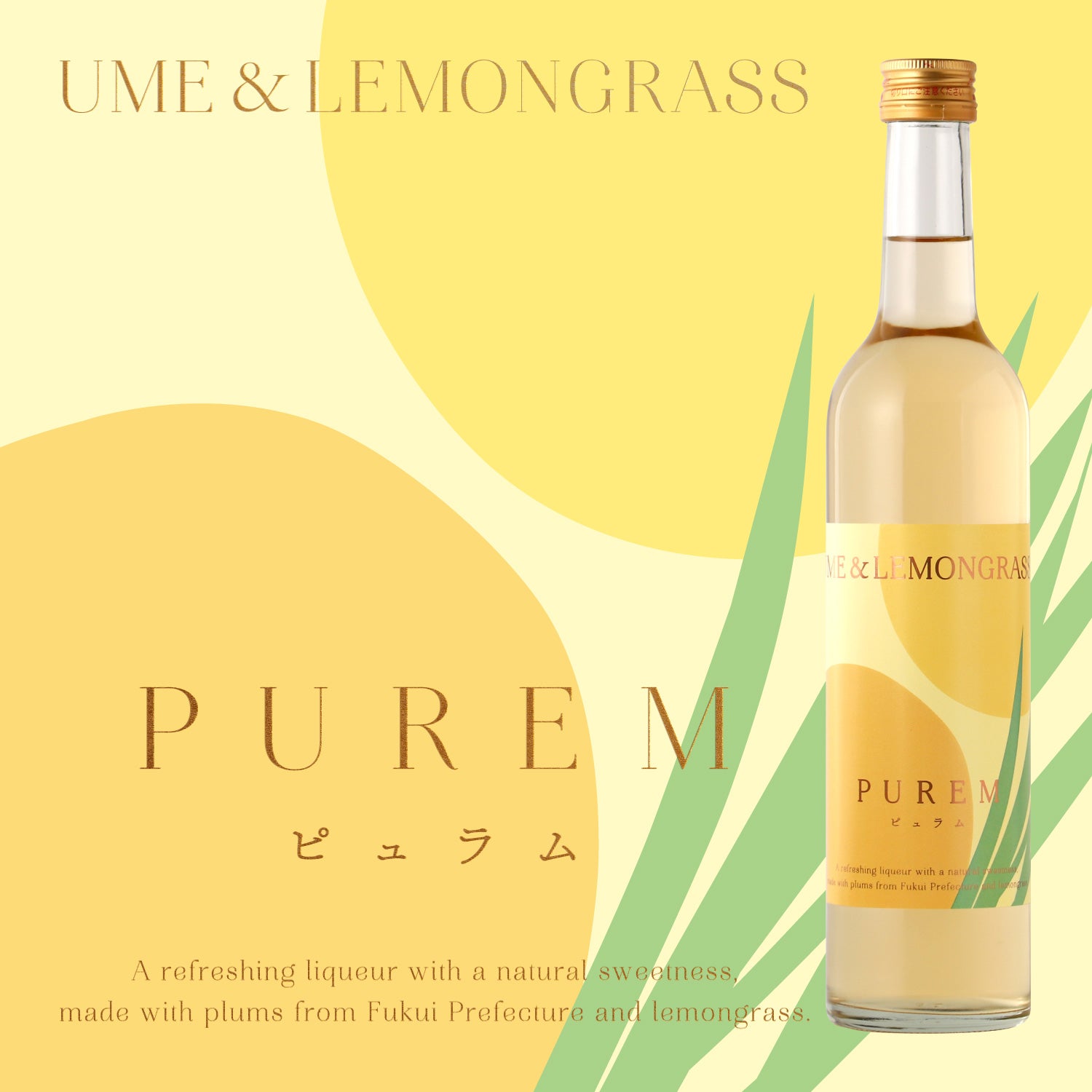 purem -ピュラム- | 福井県の梅酒 | クラフト酒・日本酒の通販ならKURAND（クランド）